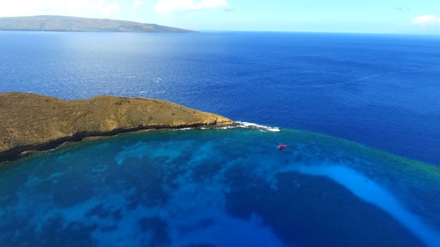 Molokini Crater Information Guide | Underwater Volcano in Maui Hawaii